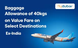 Flights Offers for November